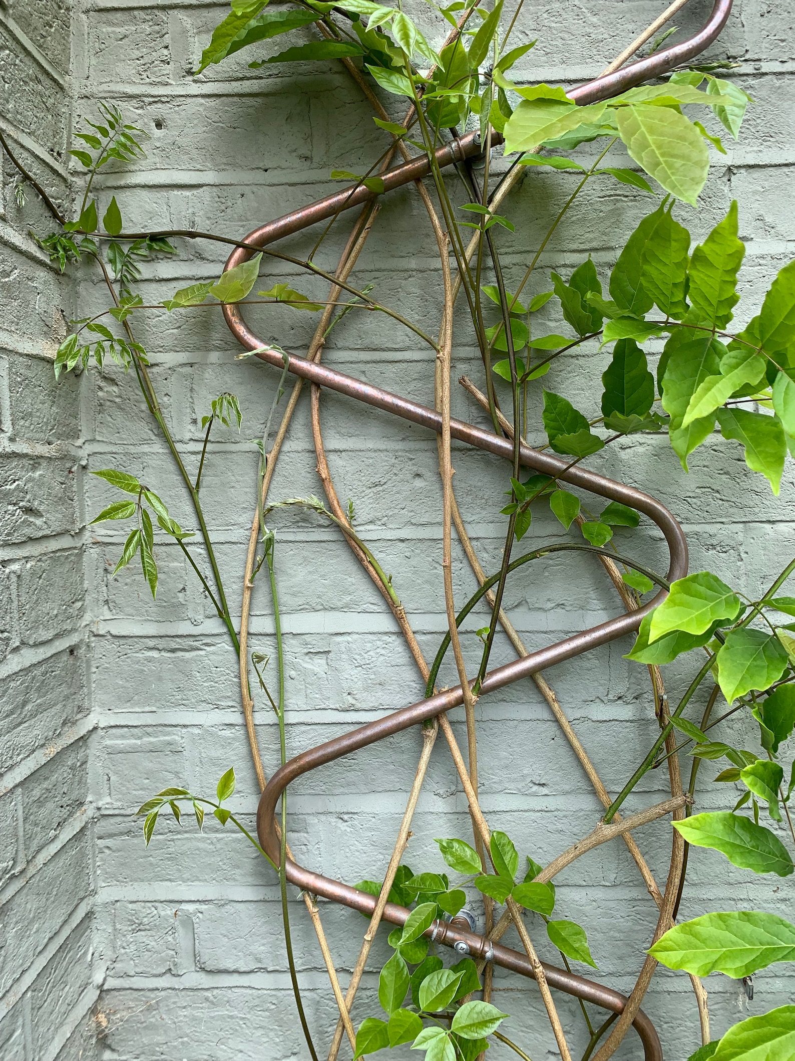 Trellis Handmade Copper Plant Wall Trellis Wisteria Trellis - Etsy