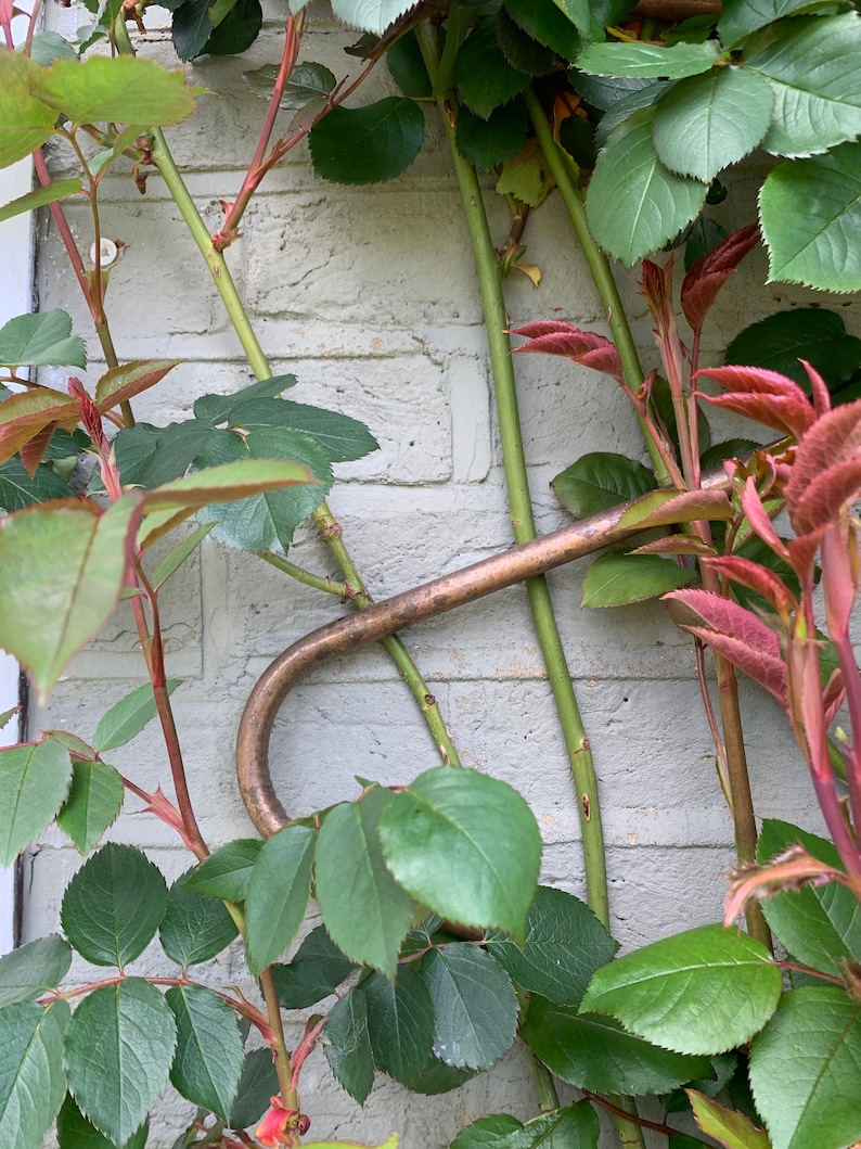 Trellis Handmade Copper Plant Wall Trellis Wisteria Trellis - Etsy