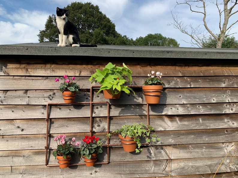Plant Pot Wall Frame Plant Pot Holder Copper Plant Frame | Etsy