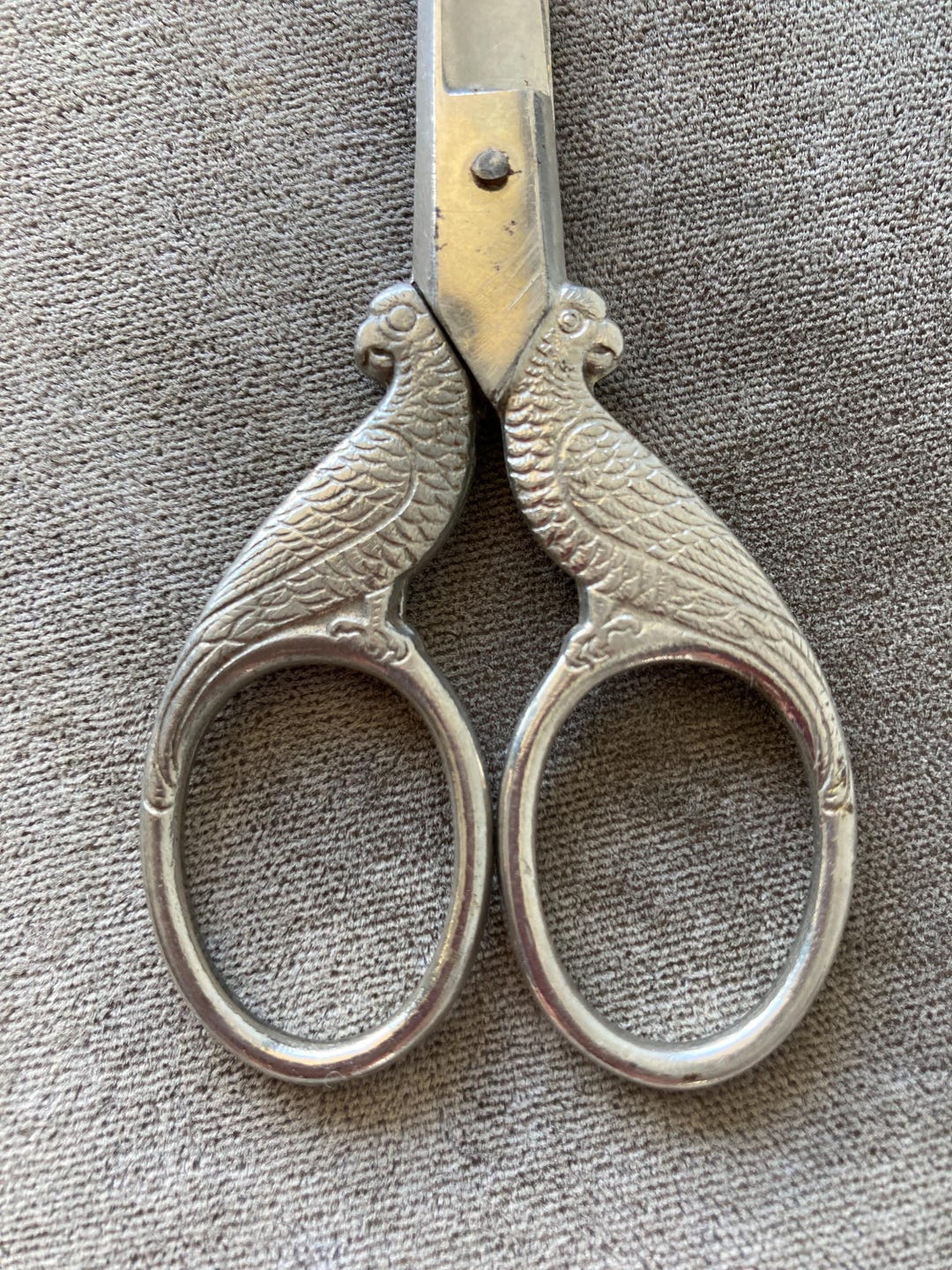 Scissors From the 1920s, Great Looking Well Detailed Parrots on the ...