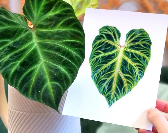 Philodendron Verrucosum Poster, Houseplant Lover Poster, Plant Wall Art ...