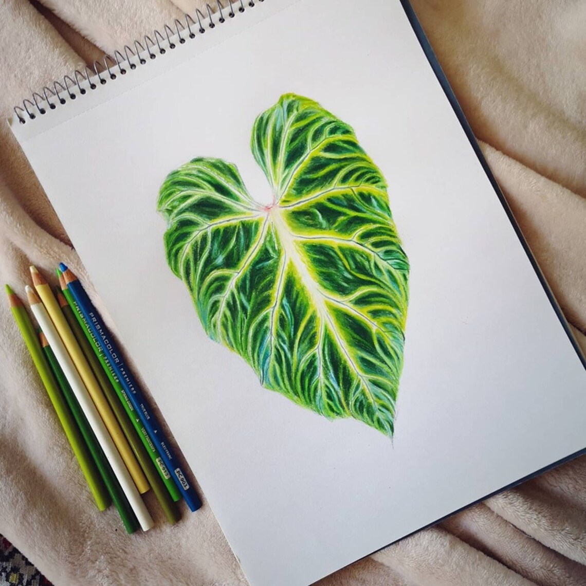 Philodendron Verrucosum Poster Houseplant Lover Poster Plant - Etsy