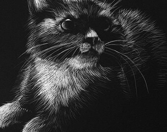 Scratchboard Cat - Etsy