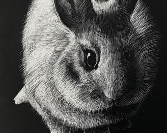 Scratchboard Dog Art - Etsy