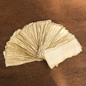 Survivor Voting Parchment - Etsy