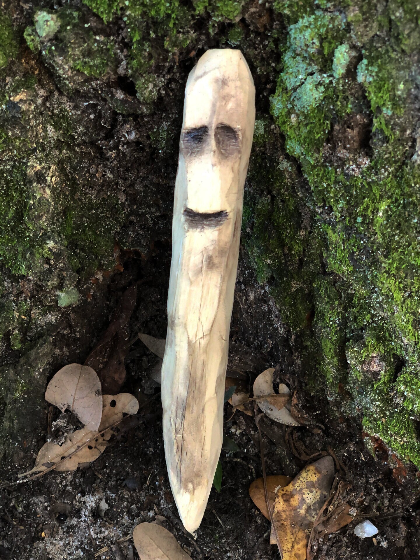 Survivor Micronesia Fake Hidden Immunity Idol / Survivor Ghost - Etsy