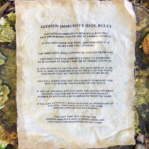Survivor Heroes VS Villains Hidden Immunity Idol - Etsy