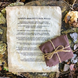 Survivor Heroes VS Villains Hidden Immunity Idol - Etsy