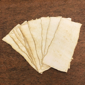 Survivor Voting Parchment - Etsy