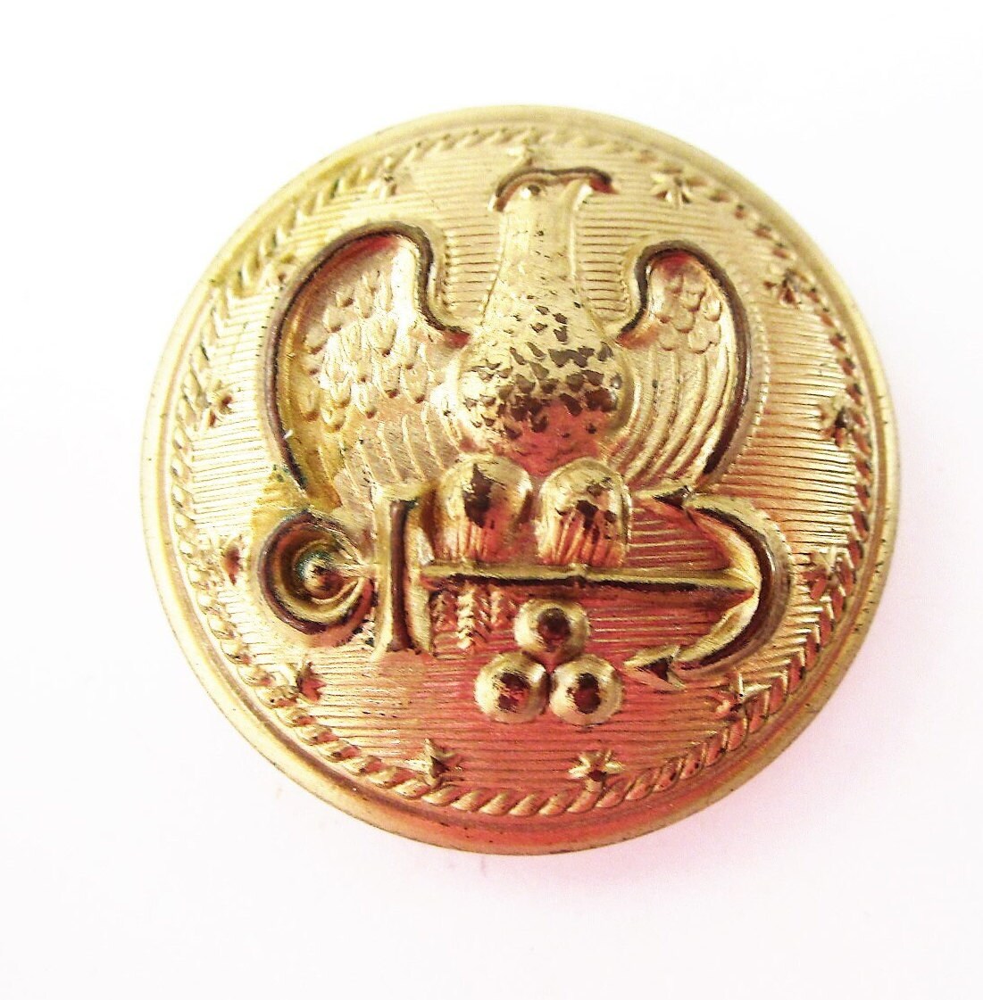 Navy Eagle Holding Anchor