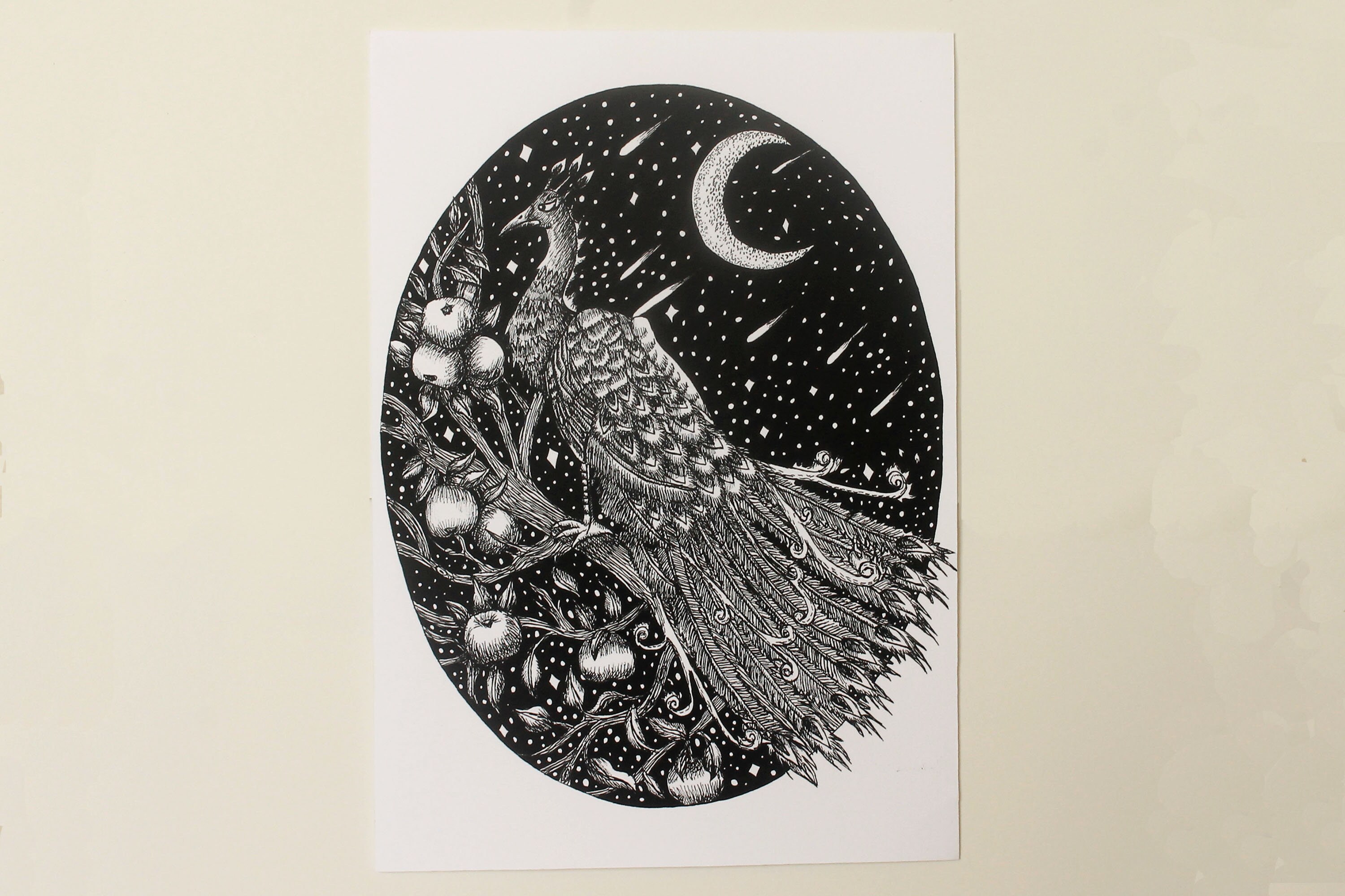 The Firebird Print, Pen Illustration, A4 Giclee Print - Etsy UK