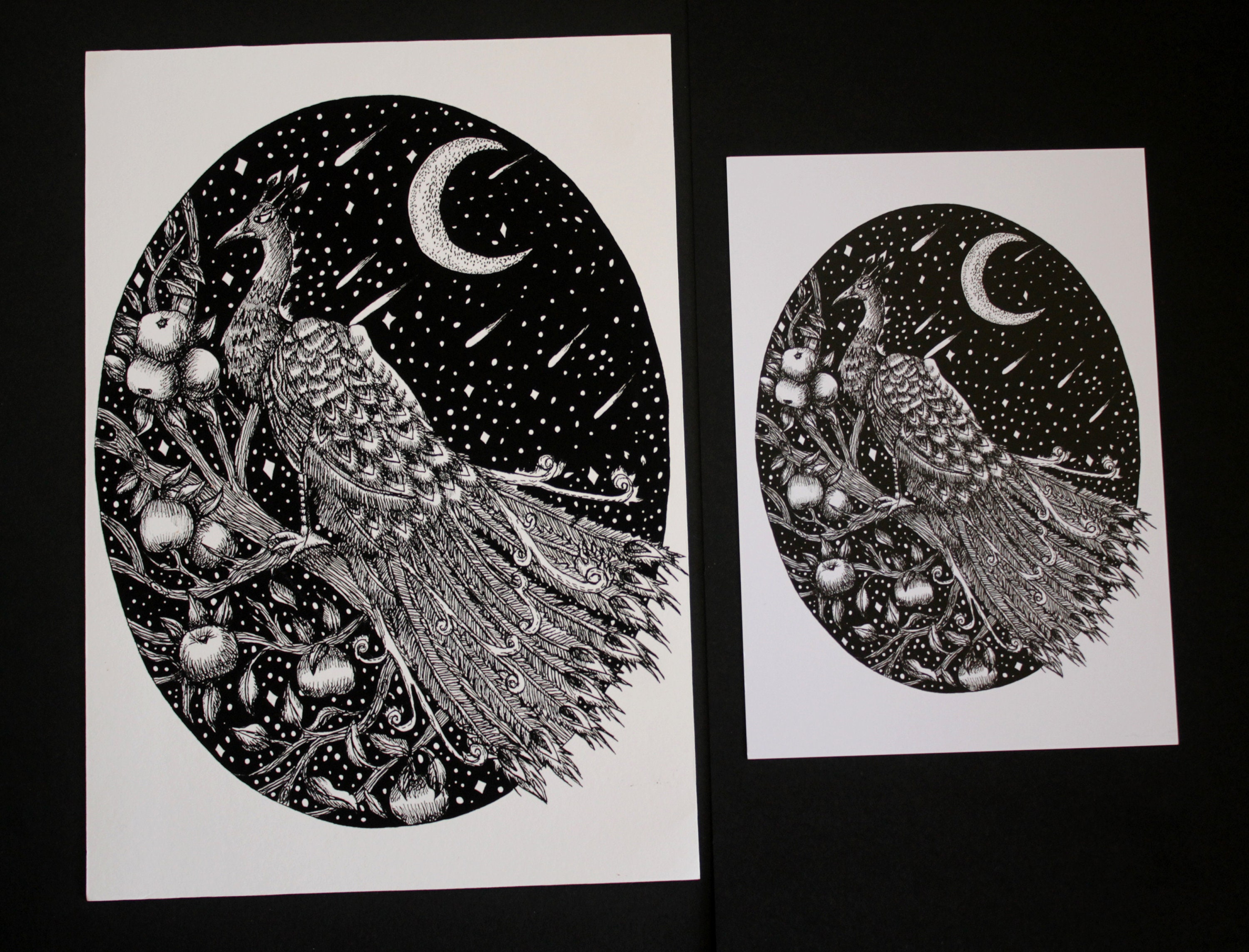 The Firebird Print, Pen Illustration, A4 Giclee Print - Etsy UK