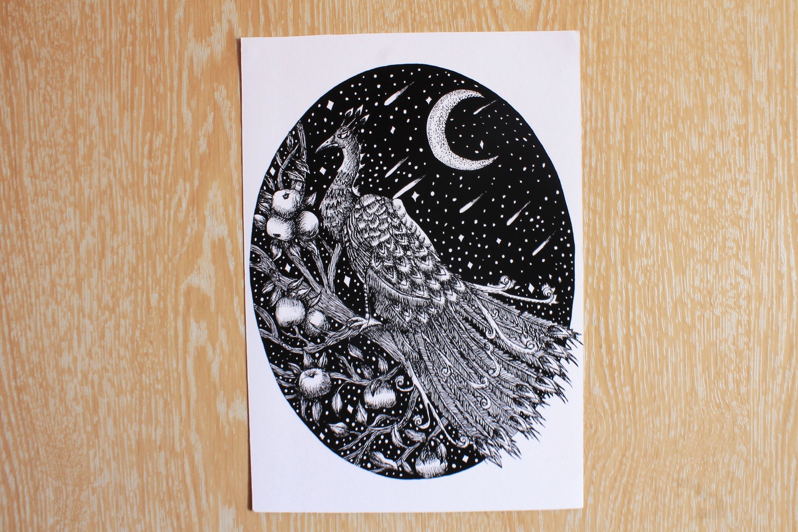 The Firebird Print, Pen Illustration, A4 Giclee Print - Etsy UK