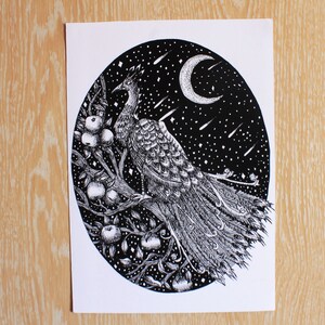 The Firebird Print, Pen Illustration, A4 Giclee Print - Etsy UK