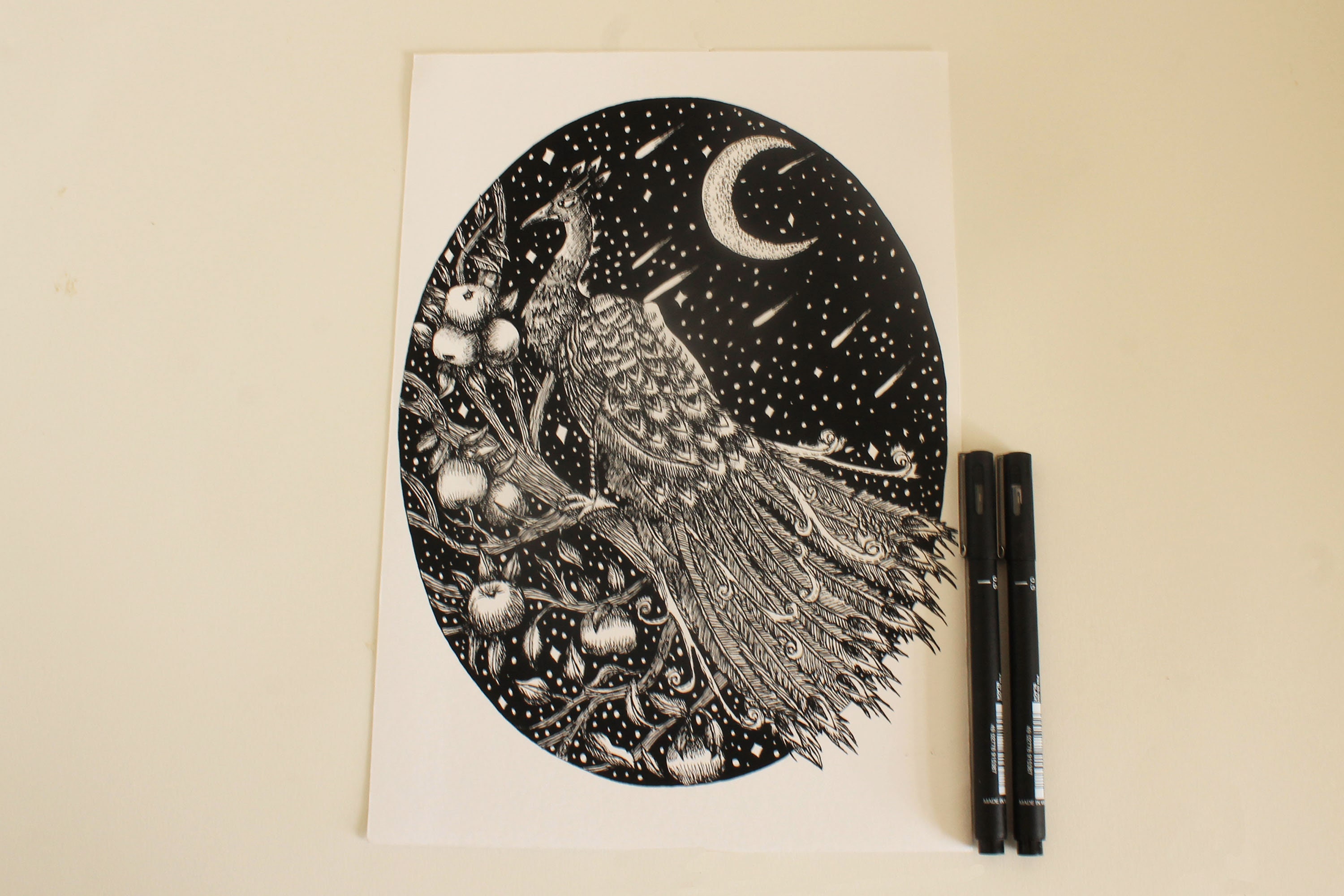 The Firebird Print, Pen Illustration, A4 Giclee Print - Etsy UK