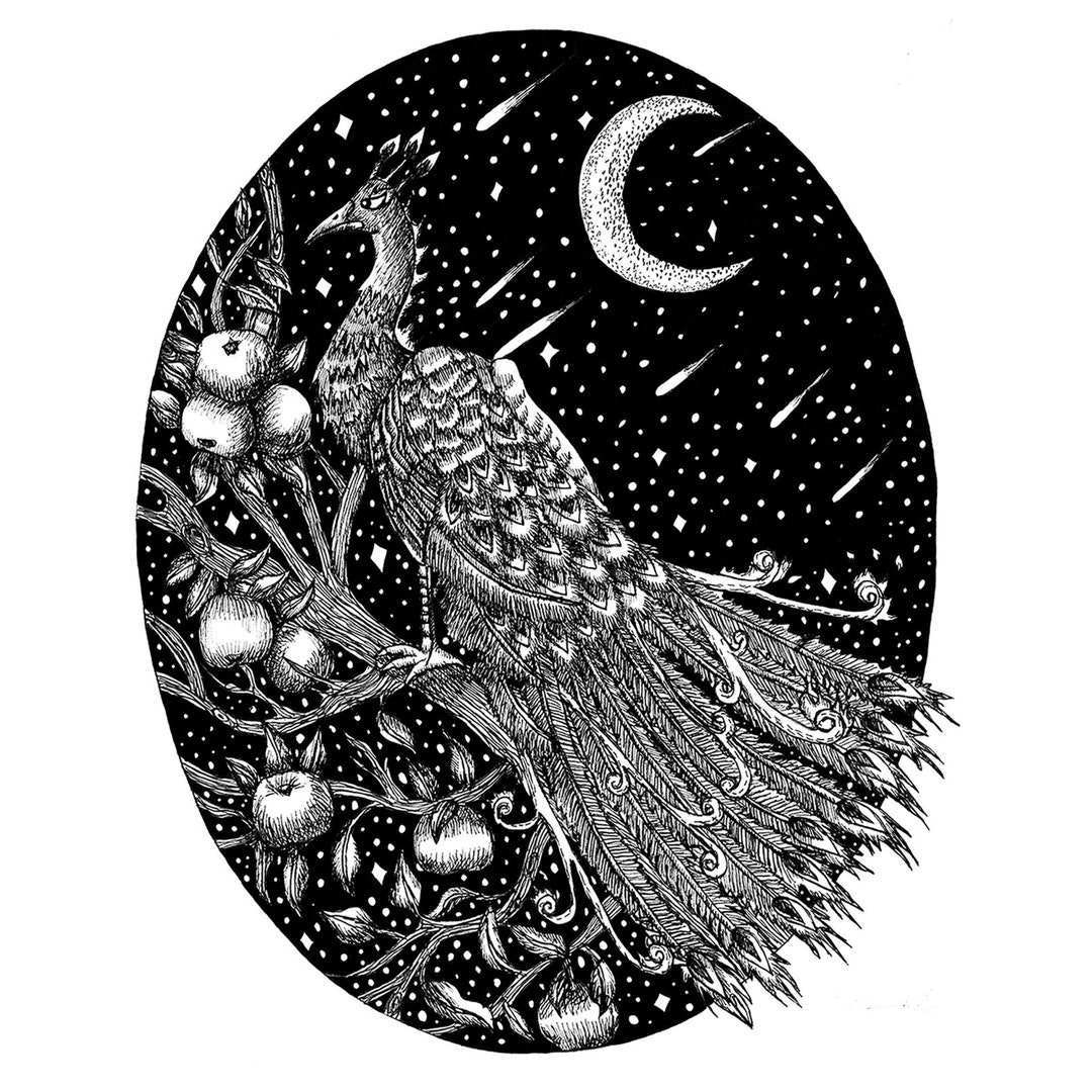 The Firebird Print, Pen Illustration, A4 Giclee Print - Etsy UK