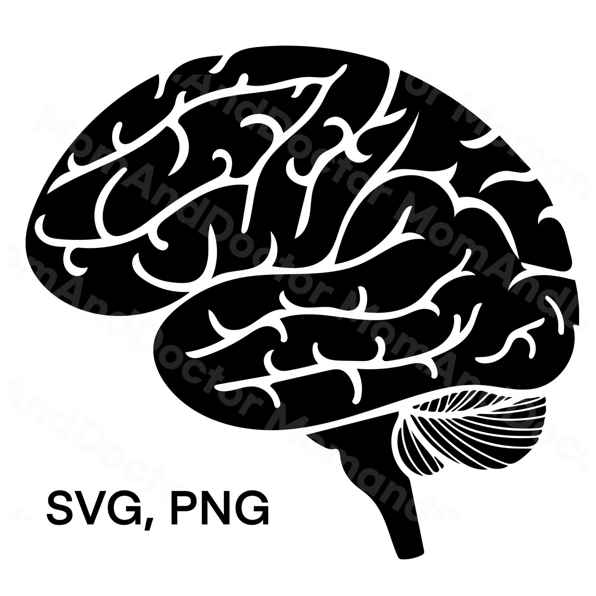 Human Brain Anatomy Clipart SVG Neurology Vector | Etsy