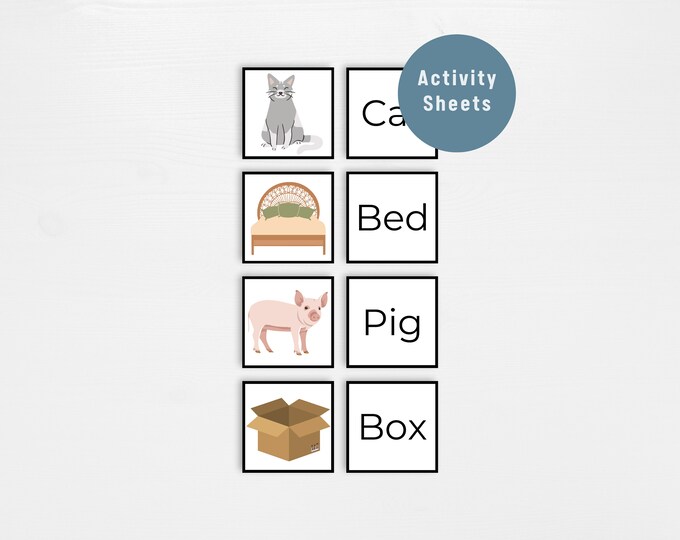 Nonsense Word Cards | Short Vowel Phonics Cards | Decoding CVC Blends ...