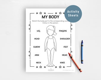Body Worksheets, Body Parts Worksheets for Kids, Printable Worksheet ...