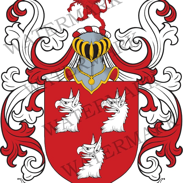Ryan Coat of Arms - Etsy