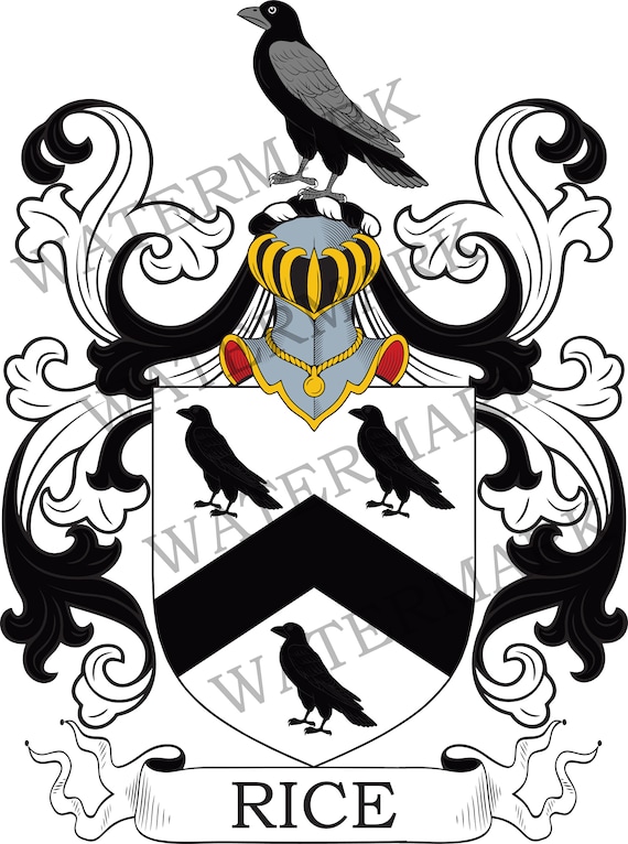 Rice Family Crest Digital Download Rice Coat of Arms JPG - Etsy