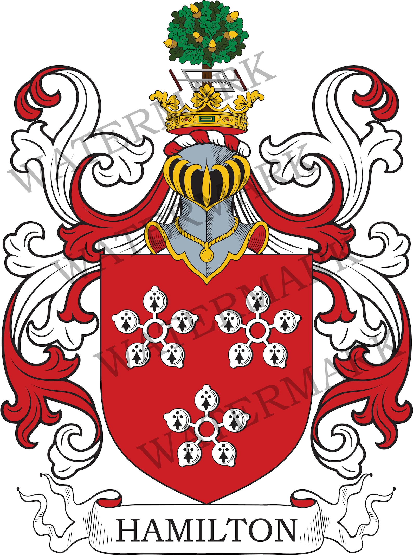 Hamilton Family Crest - Digital Download - Hamilton Coat of Arms JPG ...