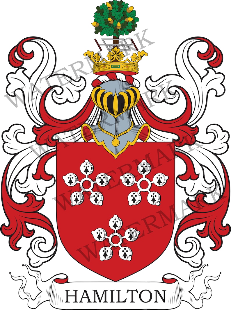 Hamilton Family Crest - Digital Download - Hamilton Coat of Arms JPG ...