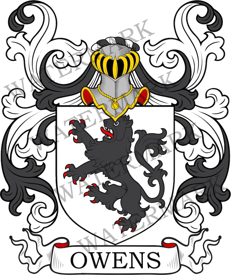 Owens Family Crest - Digital Download - Owens Coat of Arms JPG File ...