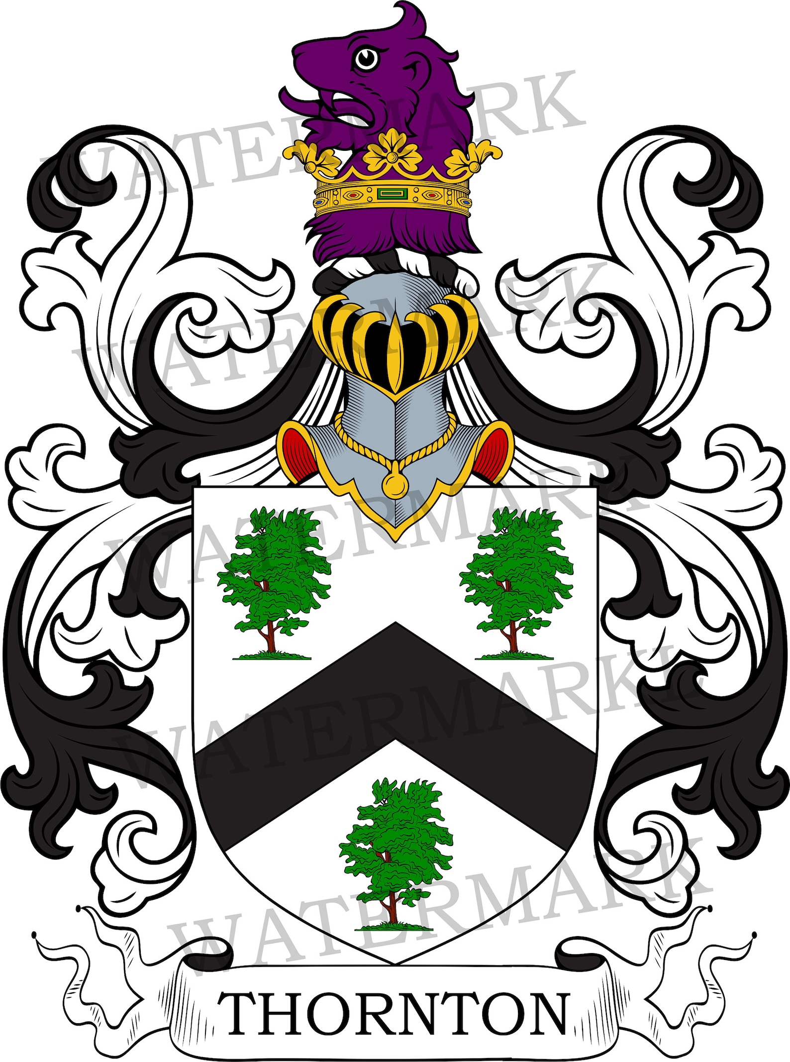 Thornton Family Crest (england) - Digital Download - Thornton Coat of ...