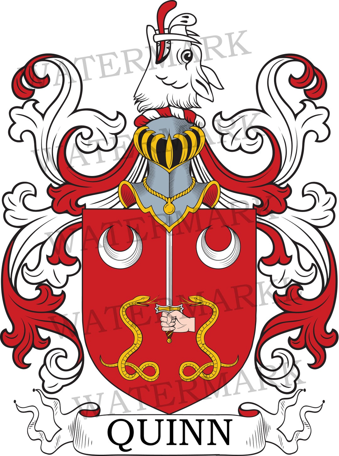 Quinn Family Crest - Digital Download - Quinn Coat of Arms JPG File ...
