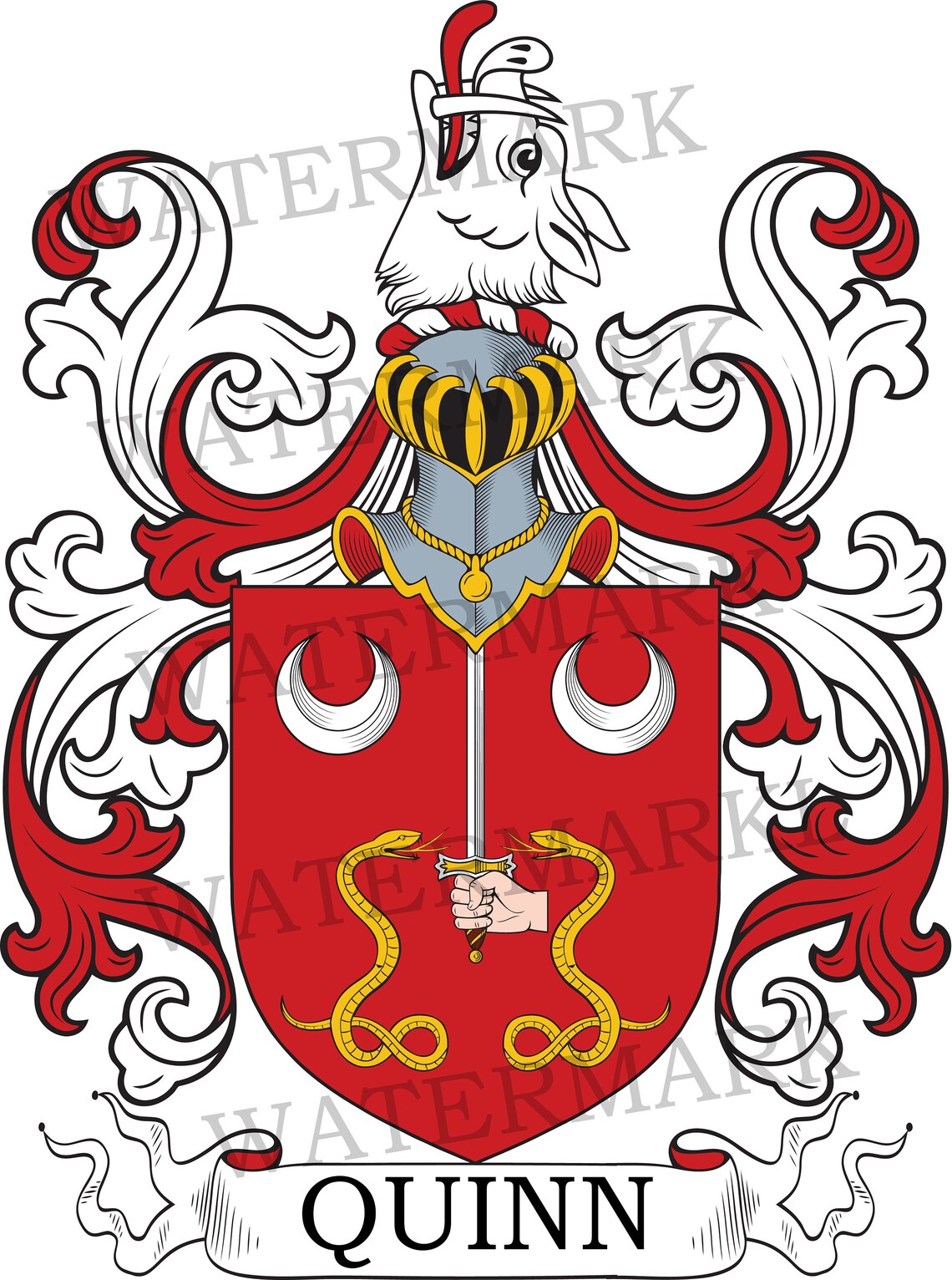 Quinn Family Crest - Digital Download - Quinn Coat of Arms JPG File ...
