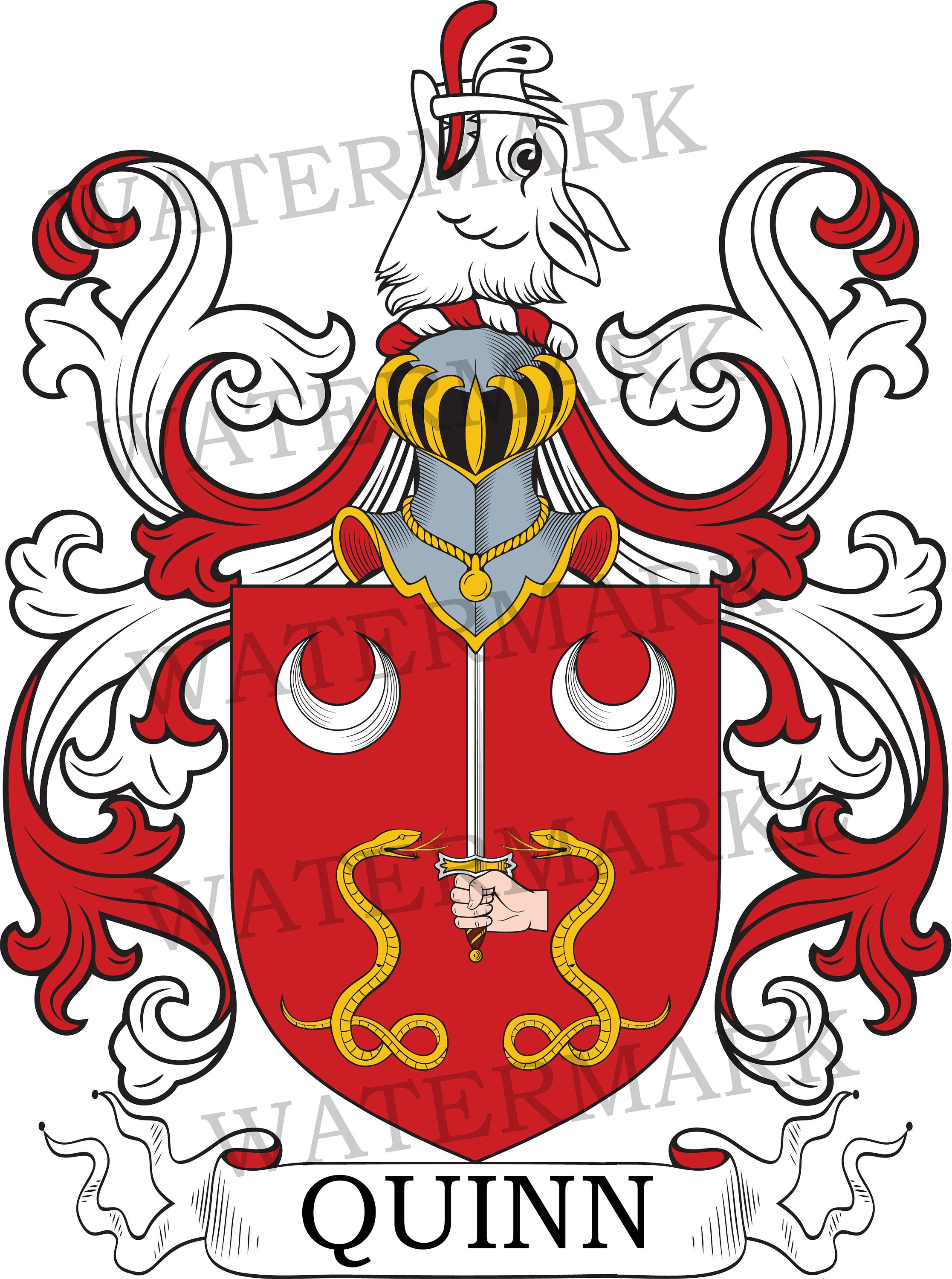 Quinn Family Crest - Digital Download - Quinn Coat of Arms JPG File ...