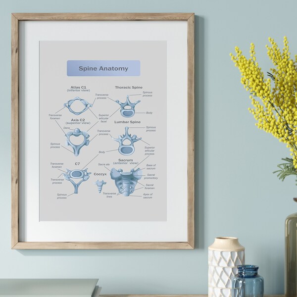 Chiropractic Poster - Etsy