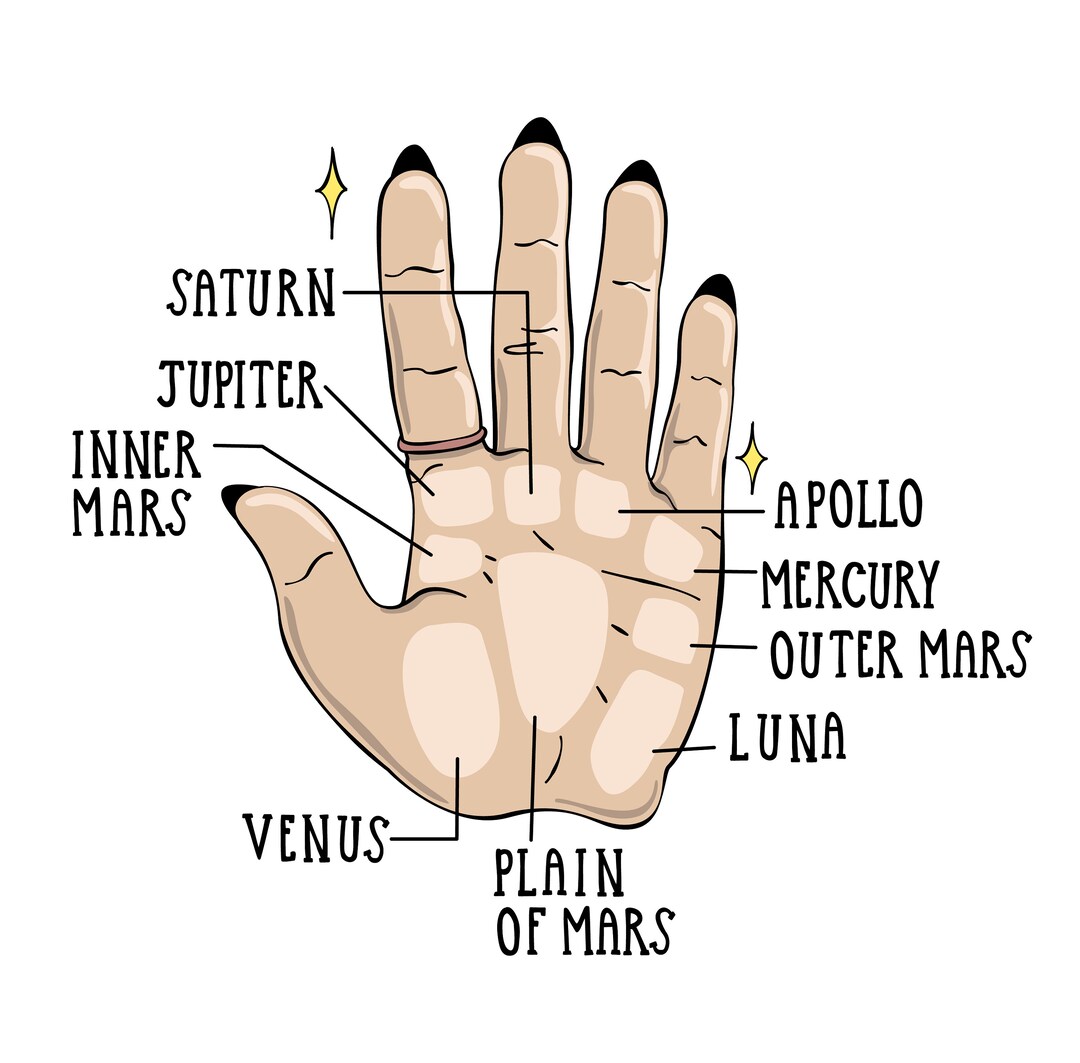 Palm Reading | Palmistry | Psychic Reading | Psychic Predictions | Same ...