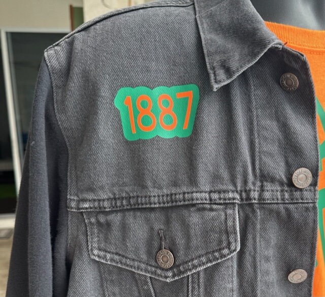 FAMU, Florida A &M University, Rattler, FAMU Rattler Youth Shirt, HBCU ...