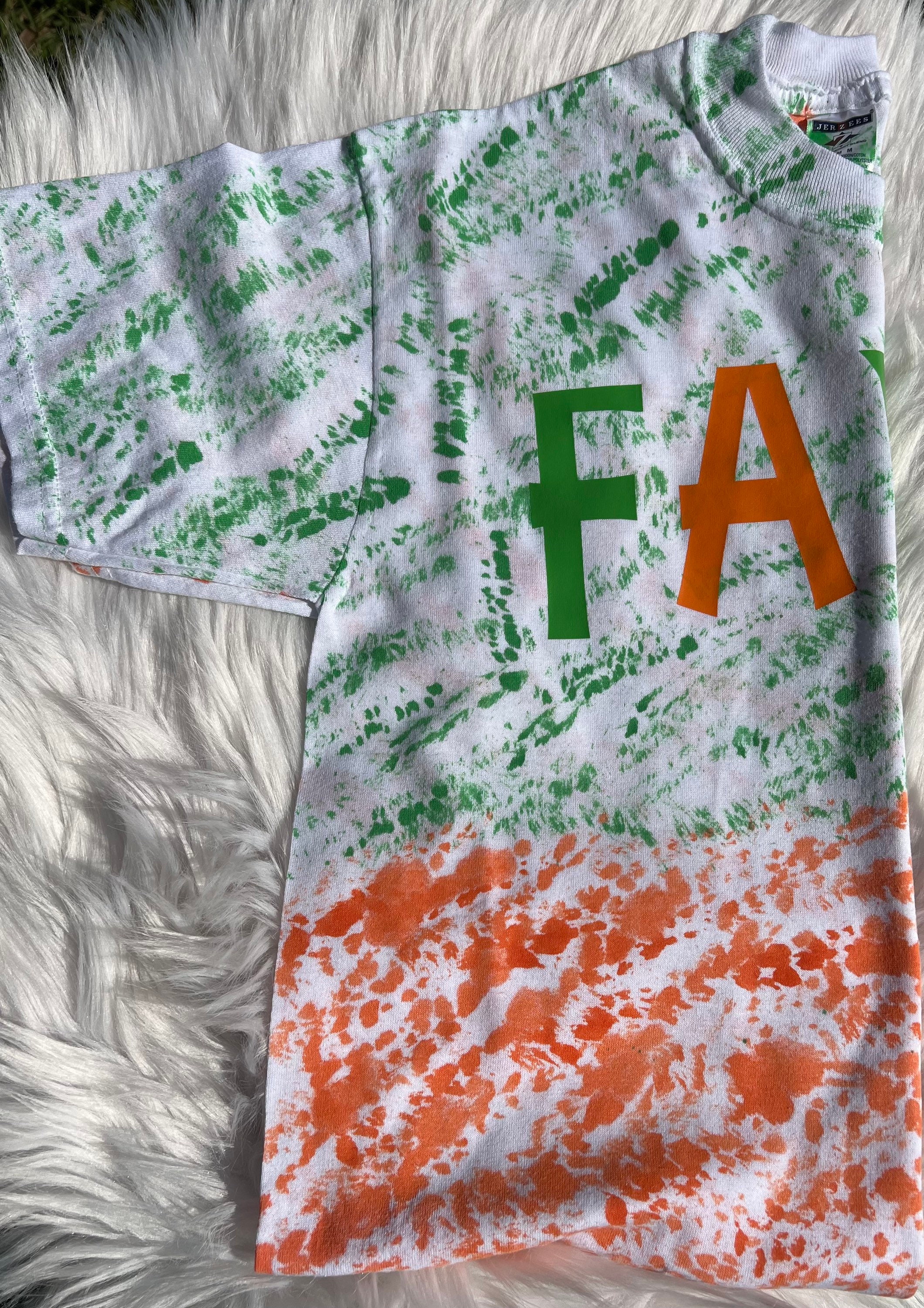 Famu, Marching 100, Fla A and M University, HBCU, Black Greek ...