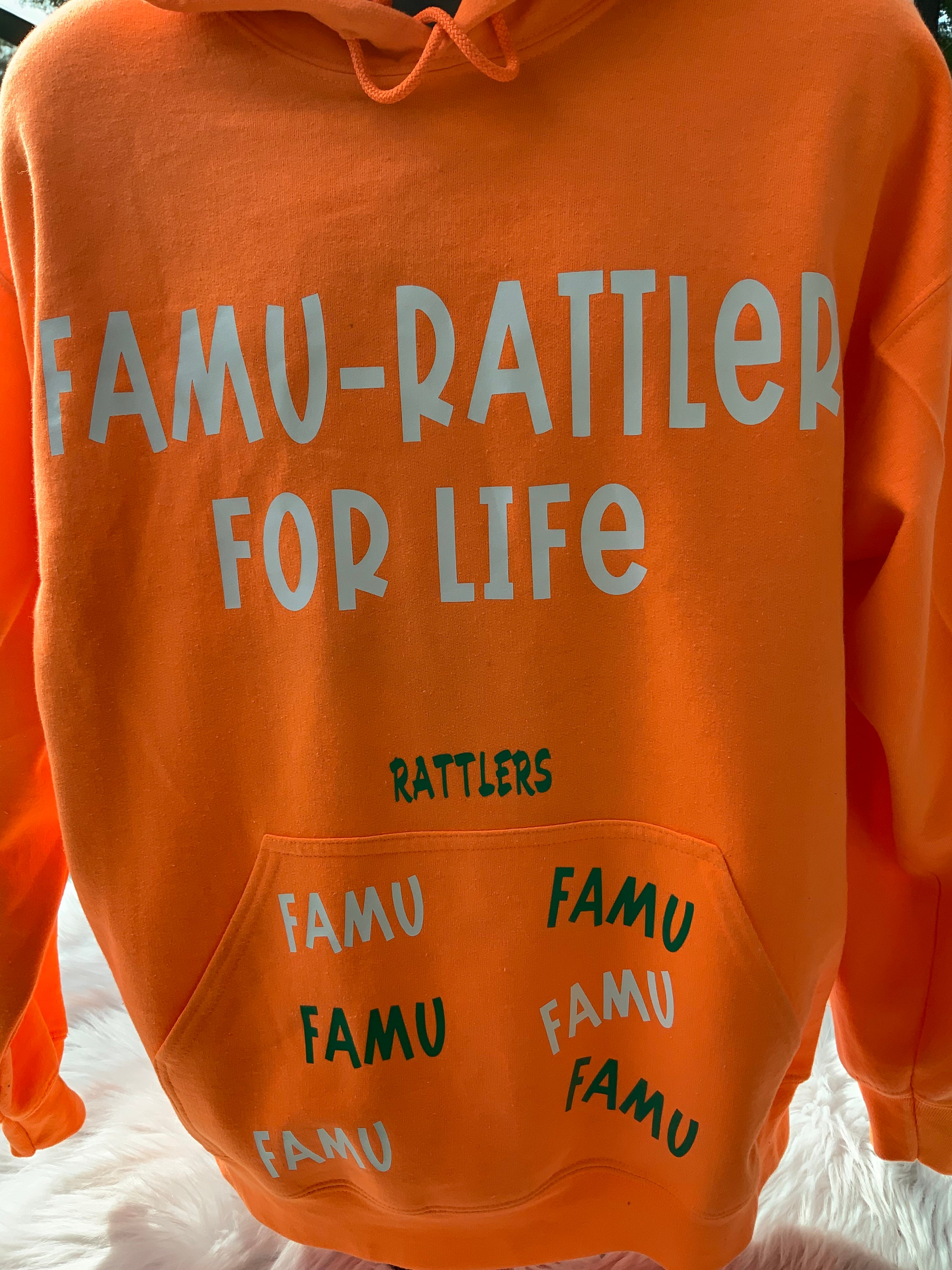 FAMU, HBCU, Fla A and M Univ, Delta Sigma Theta, AKA, Sigma Gamma Rho ...