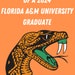 FAMU, Florida A&M University, College Graduate, HBCU Graduate, FAMU ...