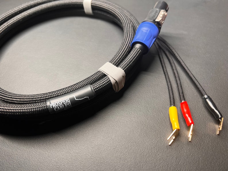 Core Line – High-level Sub Interface Cable (speakon) for REL - Etsy