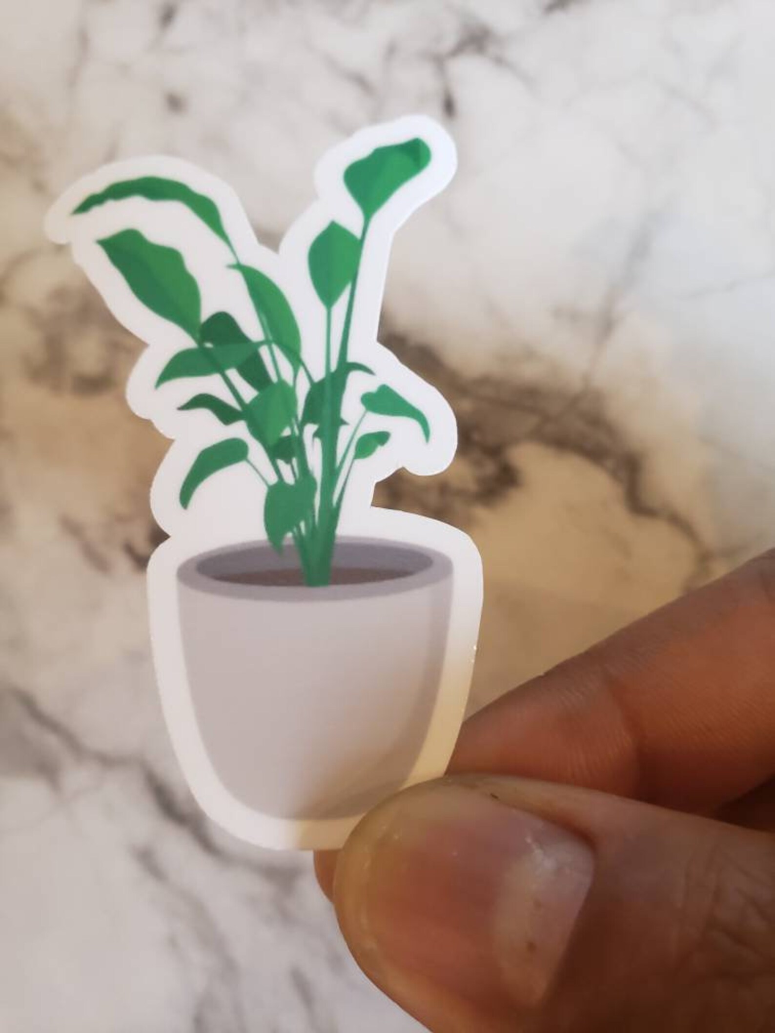 Potted Plant Sticker| Boho Plant Sticker| Boho Sticker| Vinyl Sticker ...