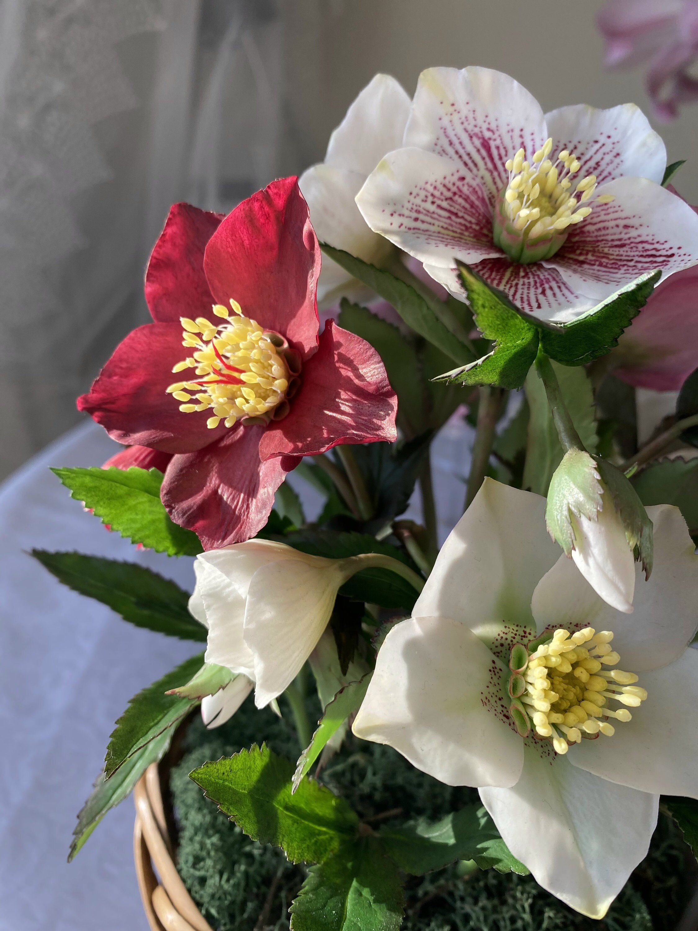 Hellebore Bouquet