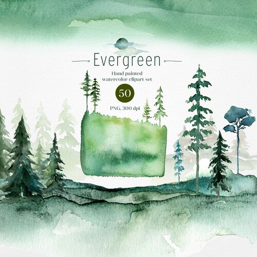 Watercolor Forest Tree Clipart Woodland Pine Trees - Etsy