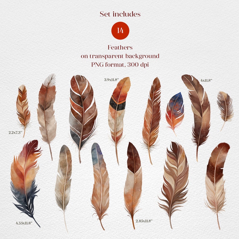 Boho Feathers Watercolor Digital Clipart PNG Bundle, Watercolor ...