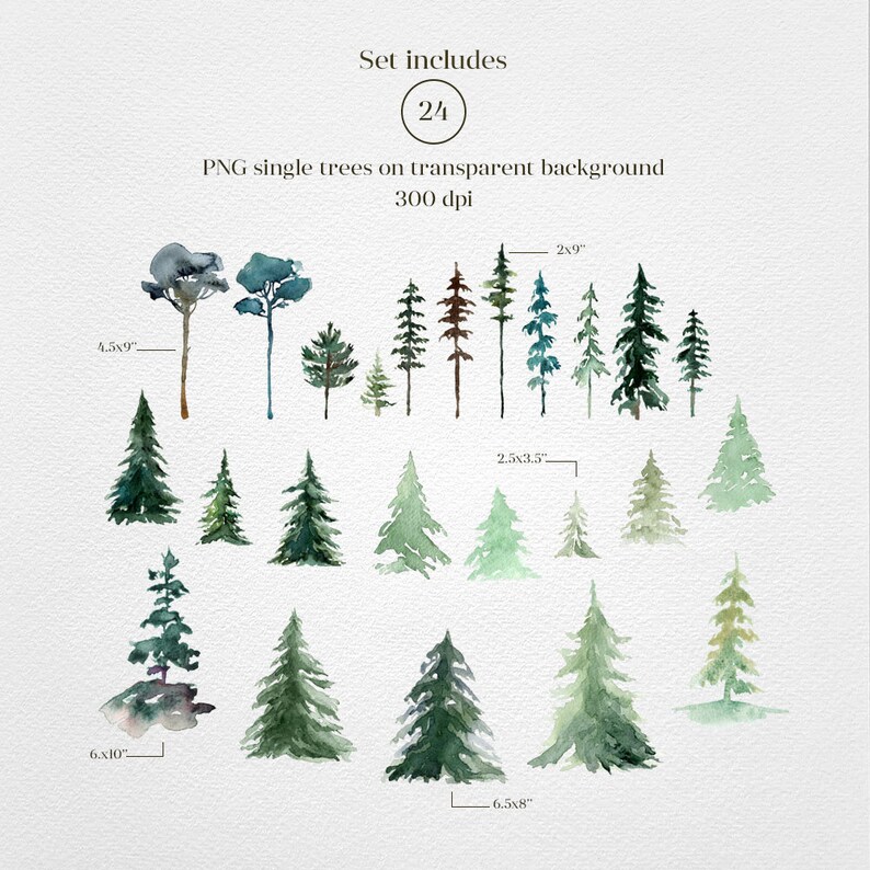 Watercolor Digital Forest and Woodland Pine Trees Clipart PNG Bundle ...