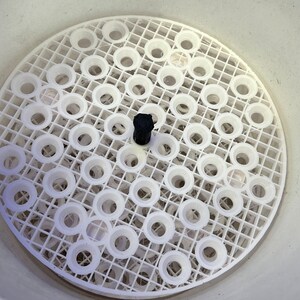 5g Bucket Frag Transport Frag Rack - Etsy