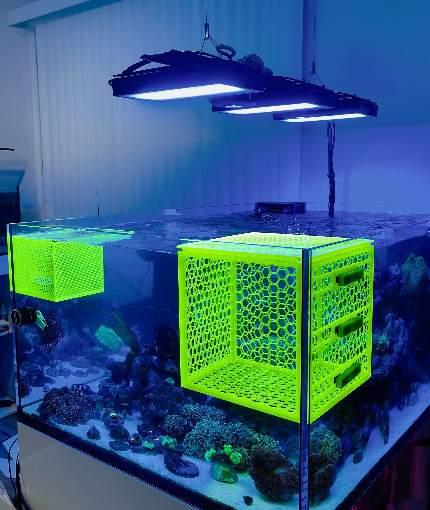 Large Fish Acclimate Box: Reef Safe PETG, Magnetic Mount (10x10x10) - Etsy