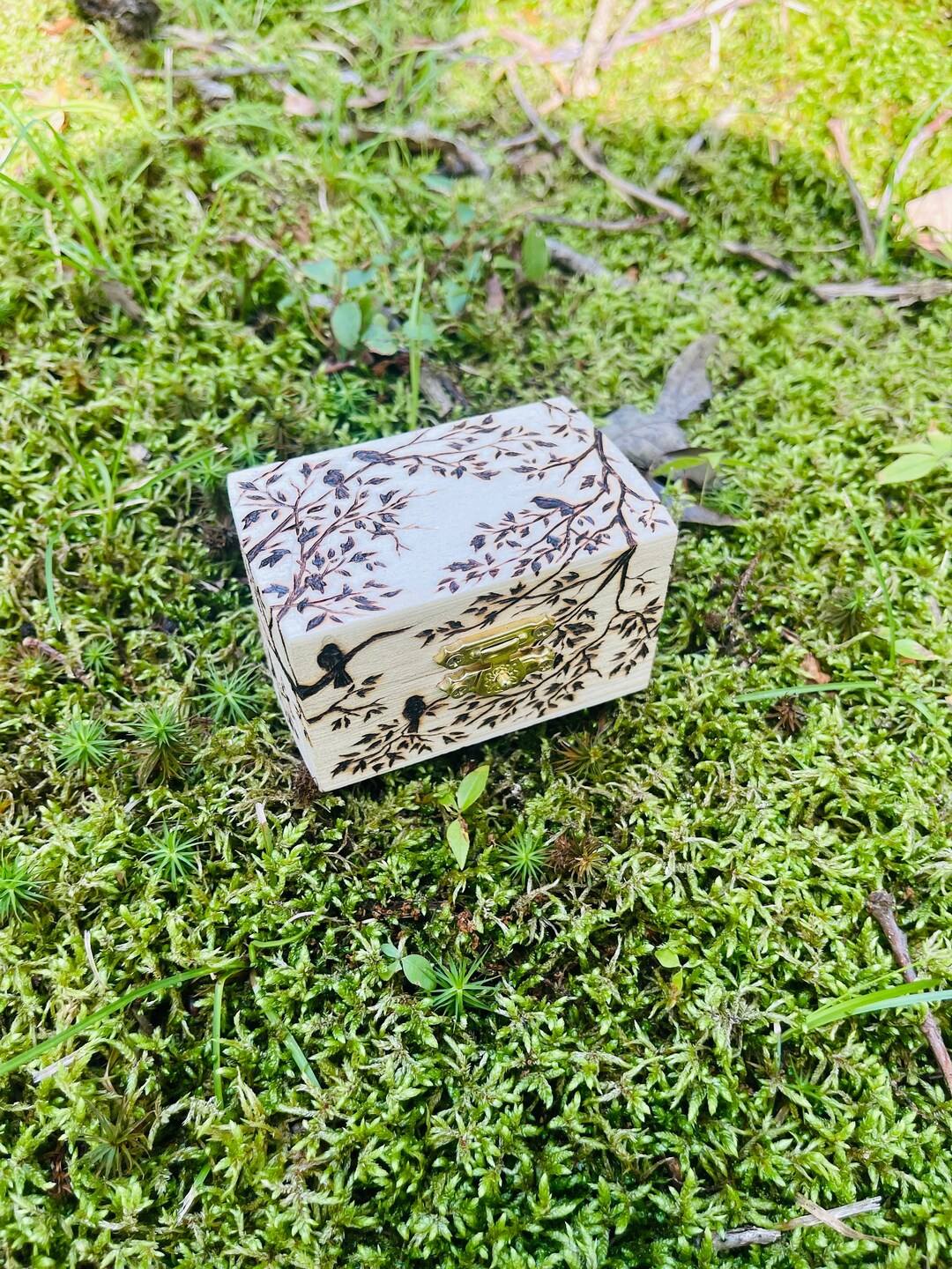 Bird Tree Mini Wood Box Woodburned Bird Box, Bird on Branches, Bird ...