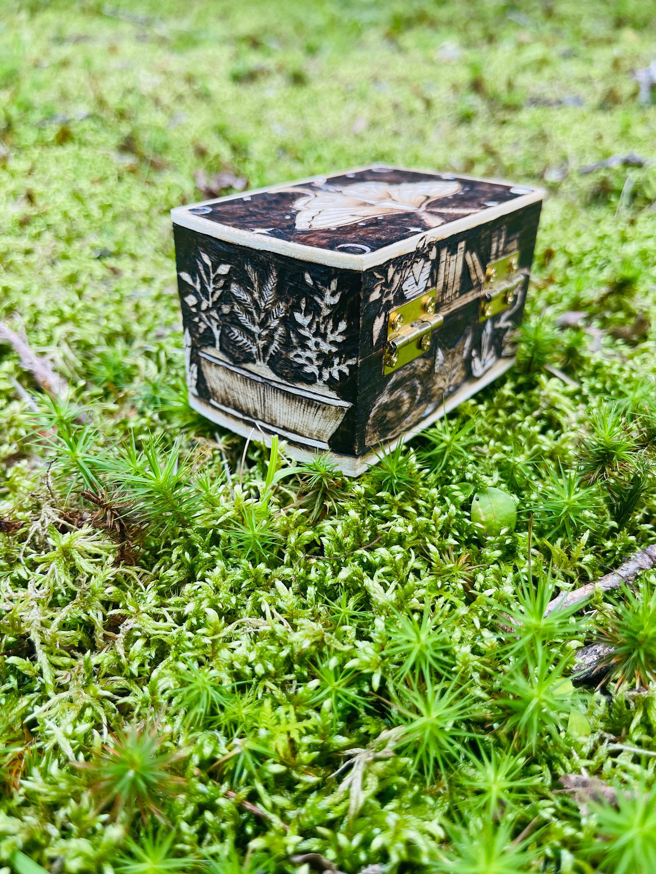 Witch Moon Moth Box- Luna Moth, Witchy Gifts, Mini Wooden Box, Keepsake ...