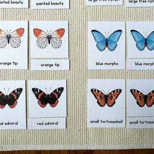 Montessori Butterfly 3-part Cards Language Printable Spring Butterflies ...