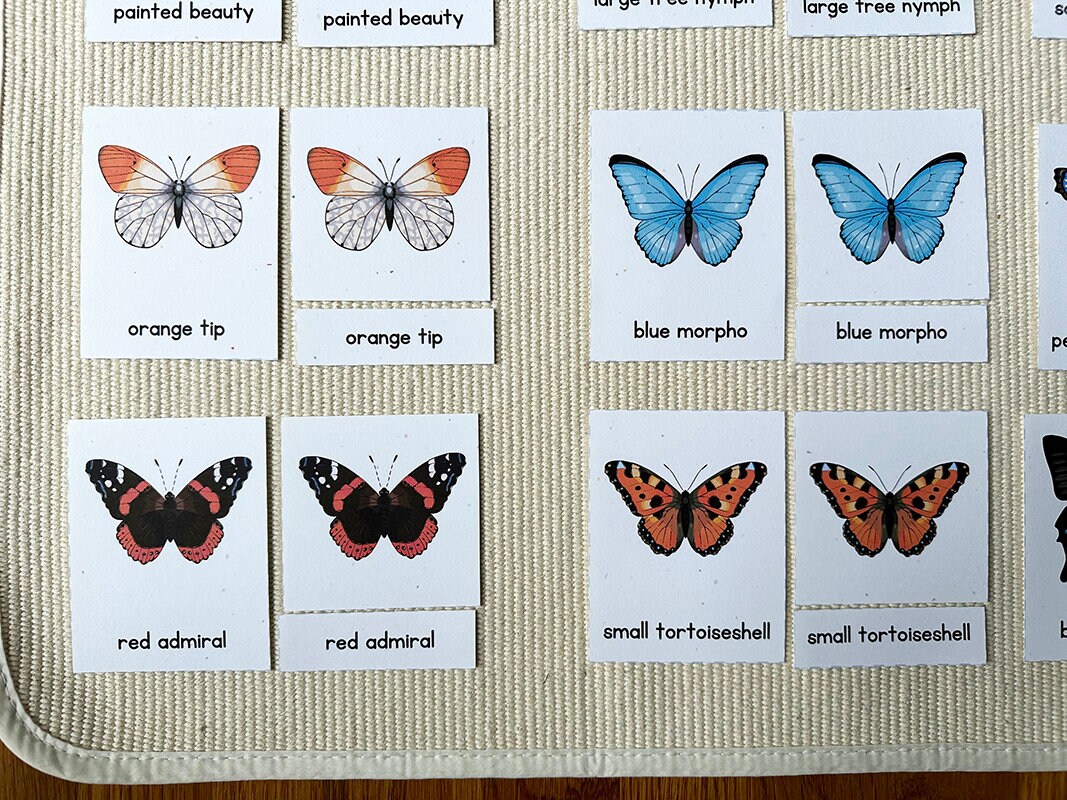 Montessori Butterfly 3-part Cards Language Printable Spring Butterflies ...